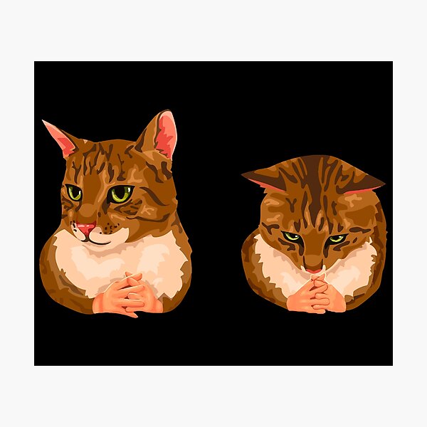 Lámina fotográfica «Meme de gato con manos, imágenes de gato maldito ...