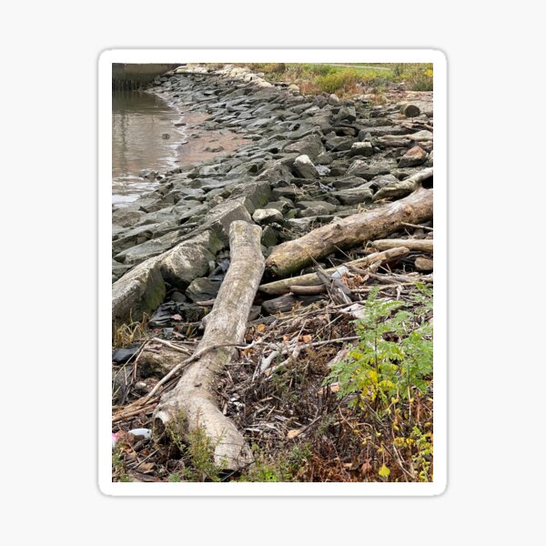 "DRIFTWOOD ON THE ROCKS" Sticker for Sale by UncleTony855Inc | Redbubble