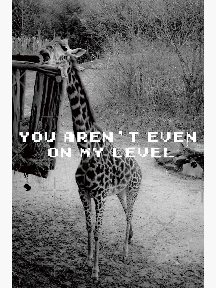 "YOU AREN'T EVEN ON MY LEVEL" Funny Quote Black and White Giraffe 35mm ...
