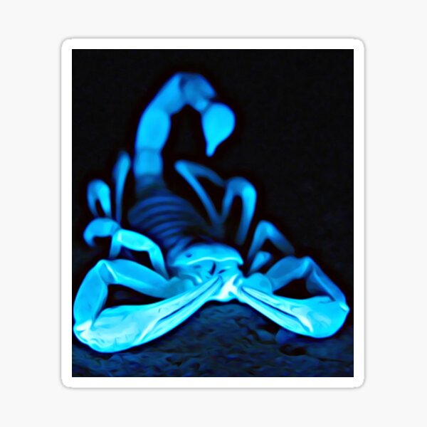 "scorpion" Sticker for Sale by baricevic | Redbubble