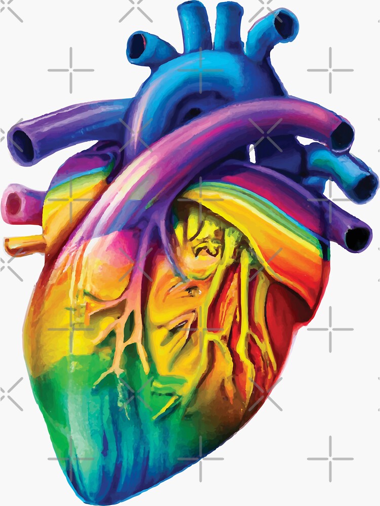 "Rainbow Heart - Anatomically Correct " Sticker for Sale by DoctorChimp ...