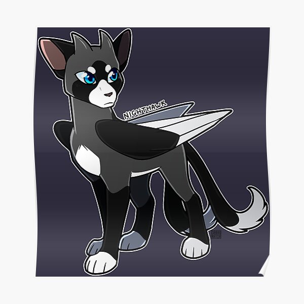 "Nighthawk" Poster for Sale by Draikinator | Redbubble