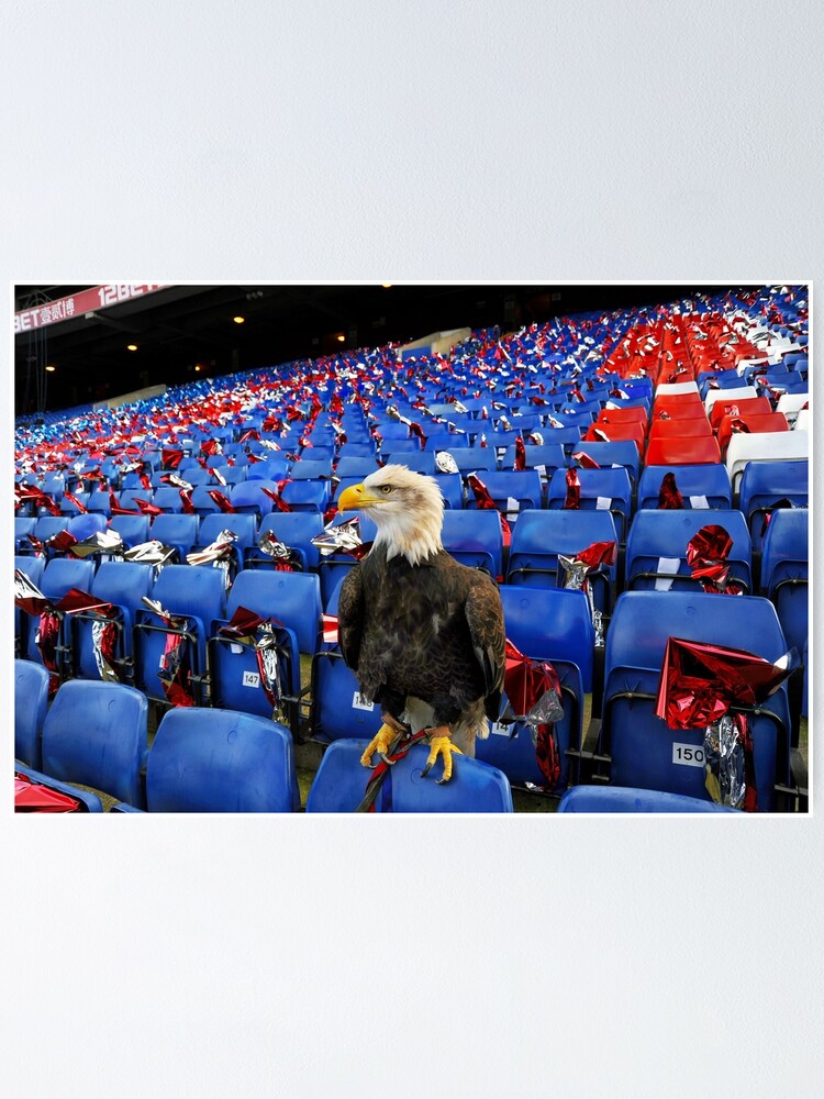 "Captain Kayla’s Flight Seat. Get Your Own" Poster by Palacephoto ...