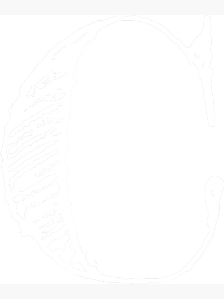 Lámina artística «Letra C en negrita - Alfabeto decorativo Letra grande ...