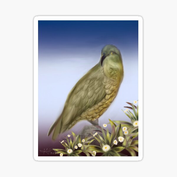 "kea with alpine flower" Sticker for Sale by JoKoNz | Redbubble