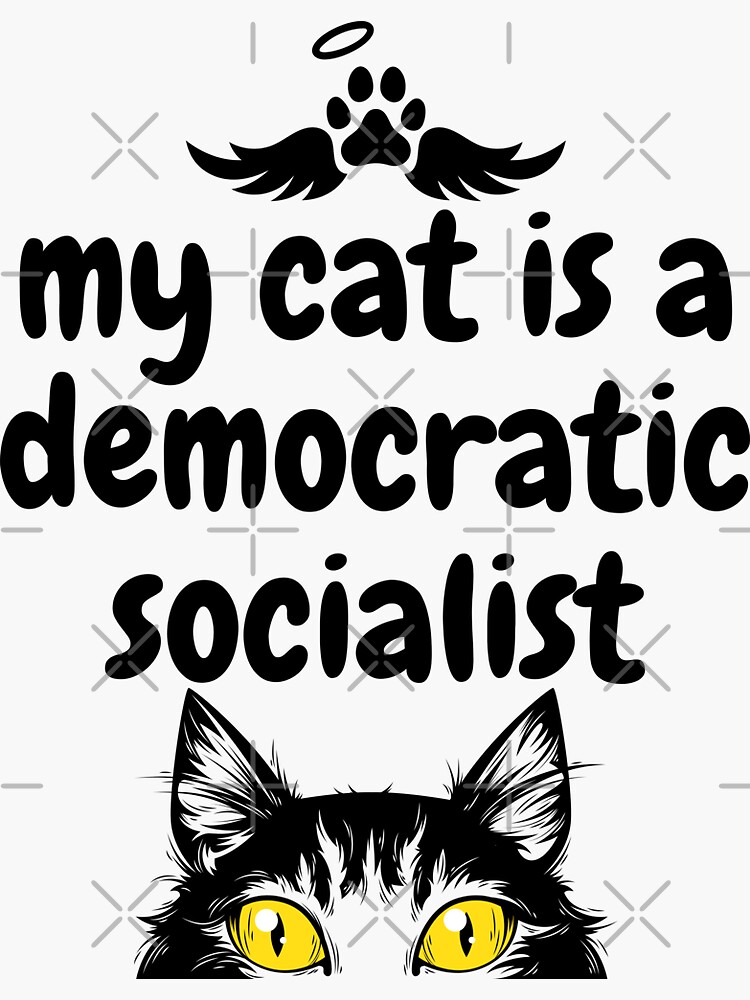 "my cat is a democratic socialist : meme cat" Sticker for Sale by ...