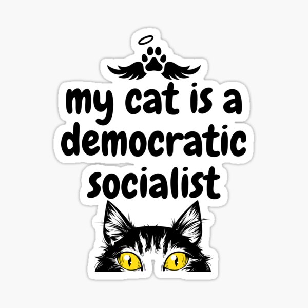 "my cat is a democratic socialist : meme cat" Sticker for Sale by ...