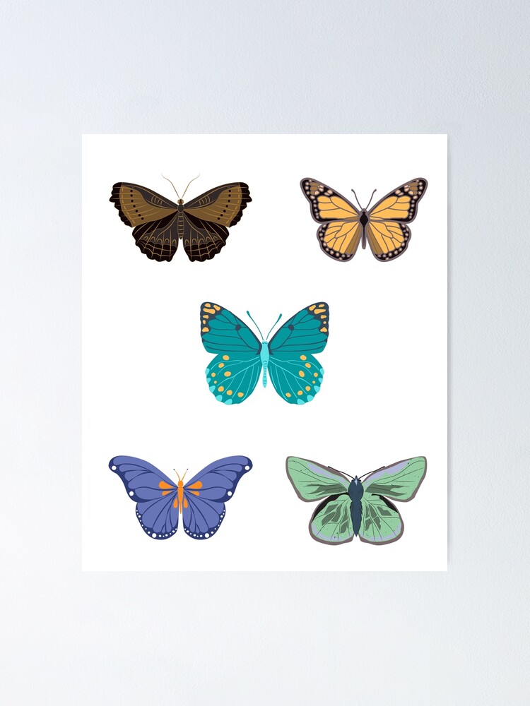 "Butterfly Pack " Poster for Sale by Mhayra | Redbubble