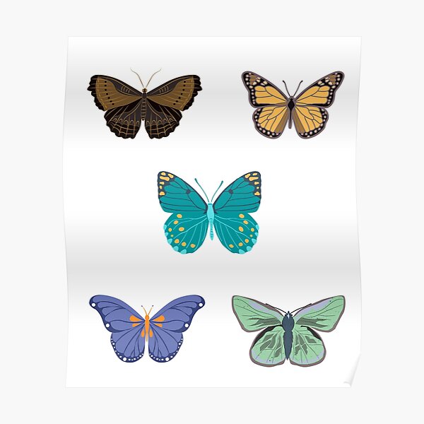 "Butterfly Pack " Poster for Sale by Mhayra | Redbubble