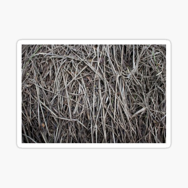 "Dry Paddy" Sticker for Sale by JNCollection | Redbubble