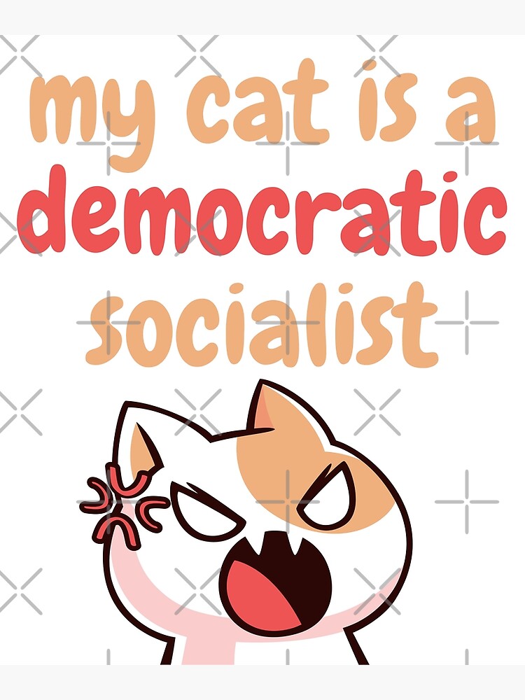 "my cat is a democratic socialist : meme cat" Poster for Sale by ...