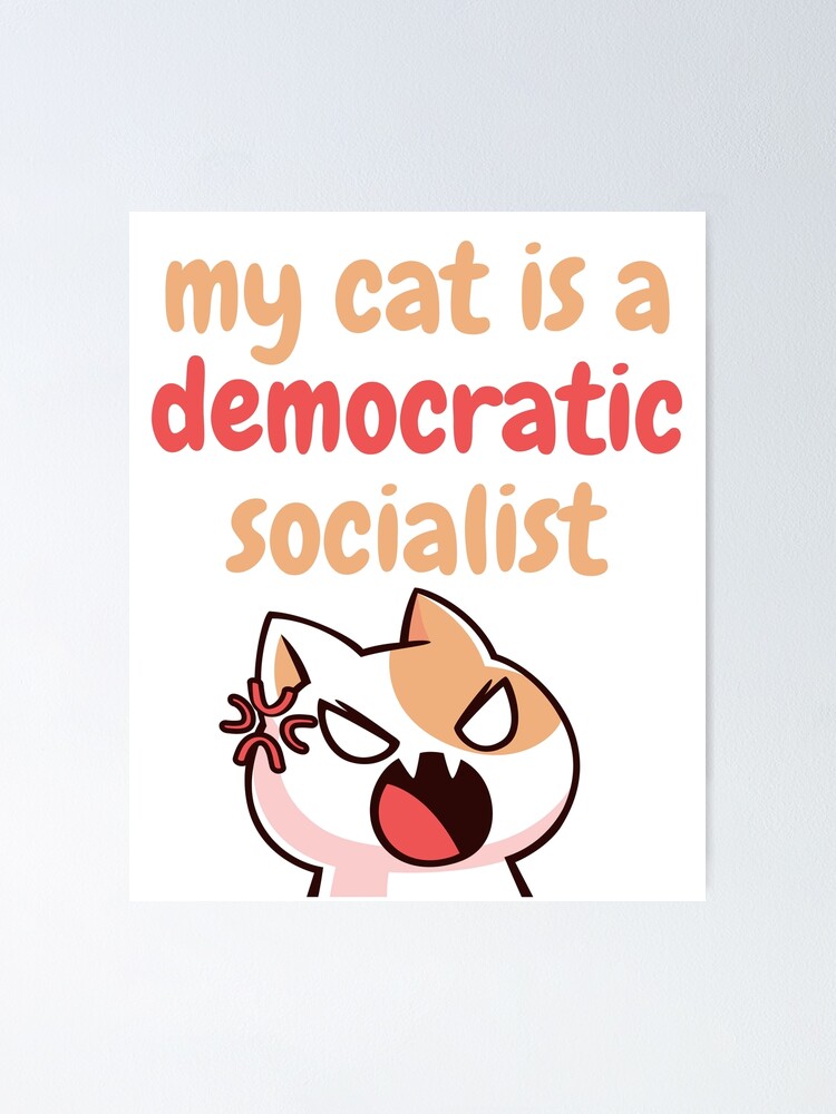 "my cat is a democratic socialist : meme cat" Poster for Sale by ...