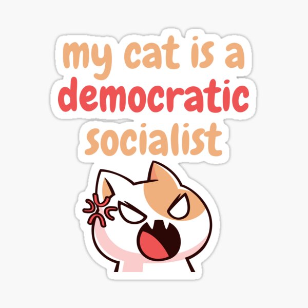 "my cat is a democratic socialist : meme cat" Sticker for Sale by ...