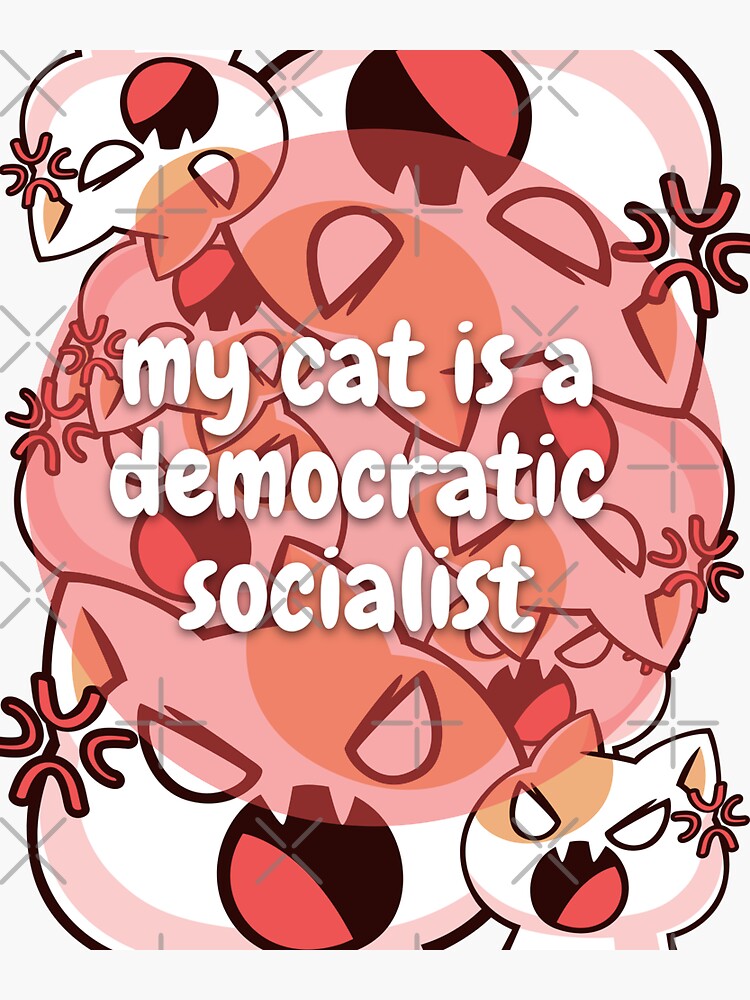 "my cat is a democratic socialist : meme cat" Sticker for Sale by ...