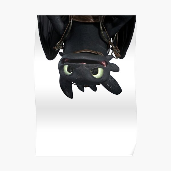 Toothless Gifts & Merchandise | Redbubble