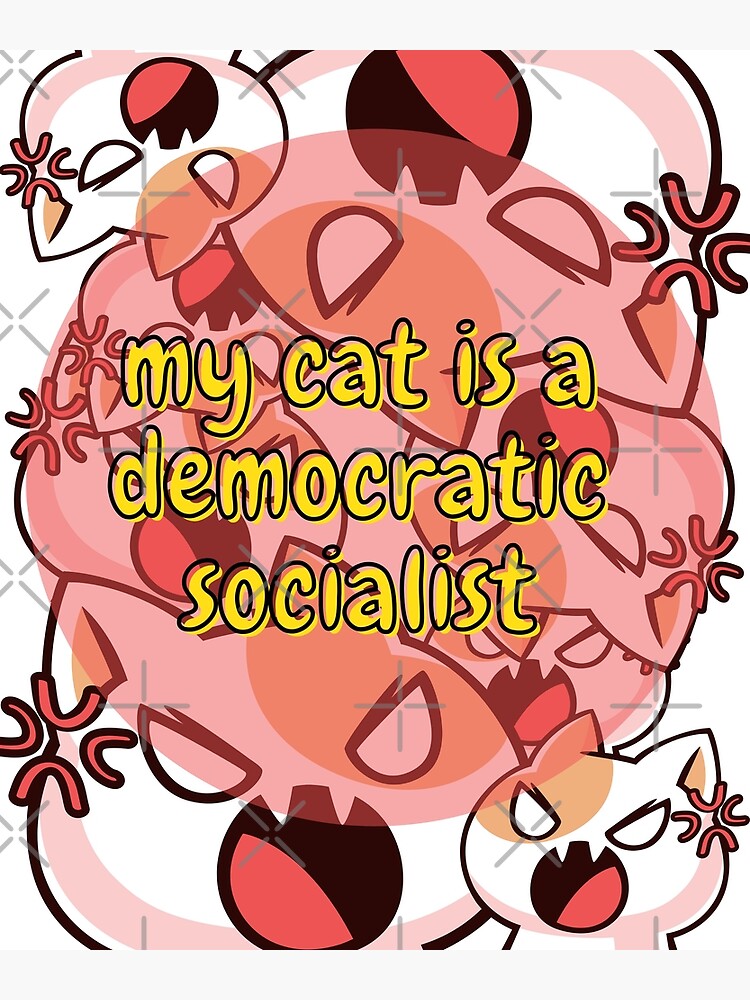 "my cat is a democratic socialist : meme cat" Poster for Sale by ...