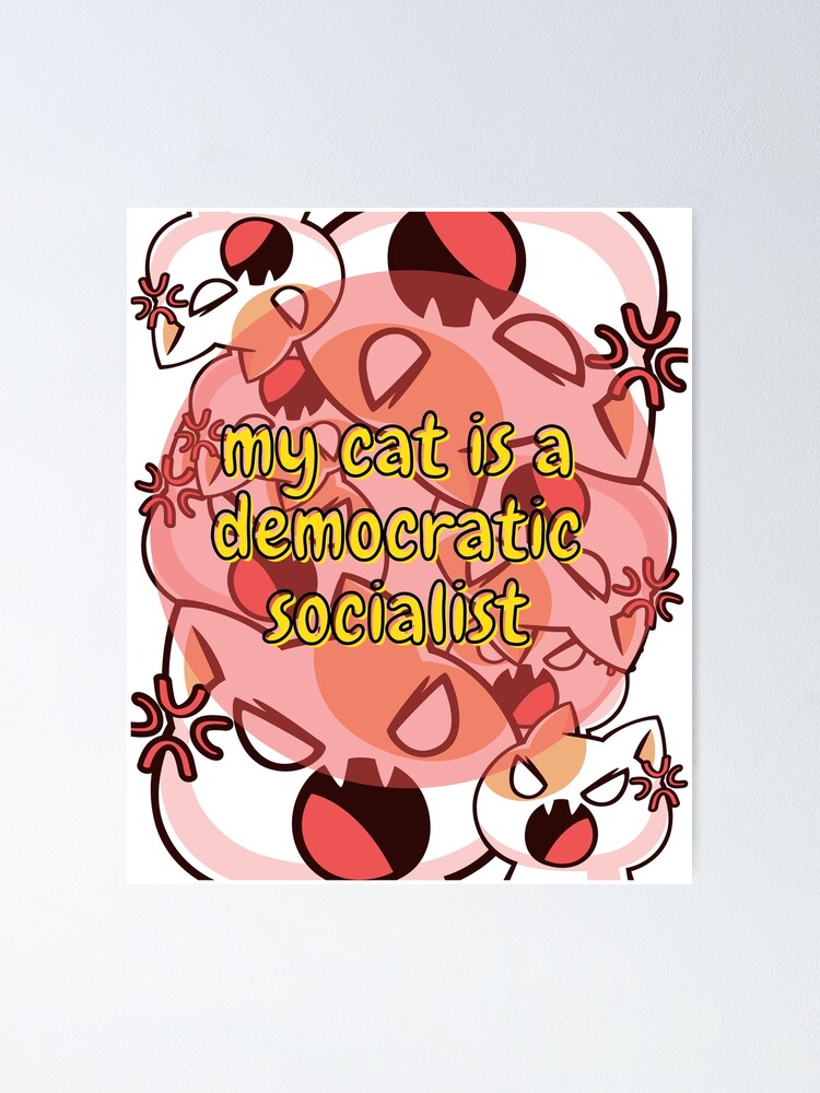 "my cat is a democratic socialist : meme cat" Poster for Sale by ...