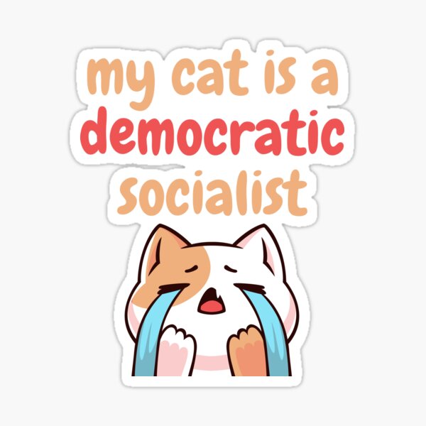"my cat is a democratic socialist : meme cat" Sticker for Sale by ...