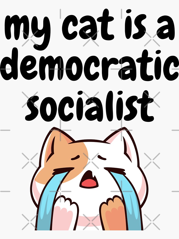 "my cat is a democratic socialist : meme cat" Sticker for Sale by ...