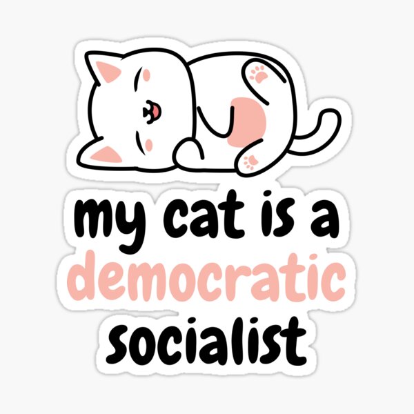 "my cat is a democratic socialist : meme cat" Sticker for Sale by ...