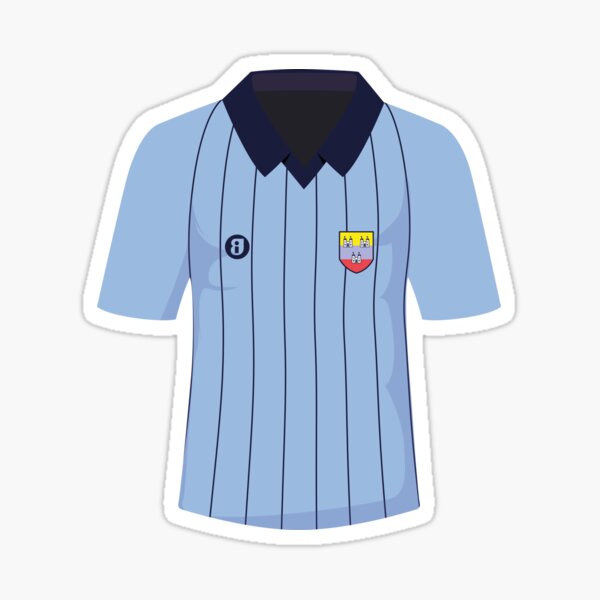 "Dublin Jersey 1989" Sticker for Sale by county-colours | Redbubble