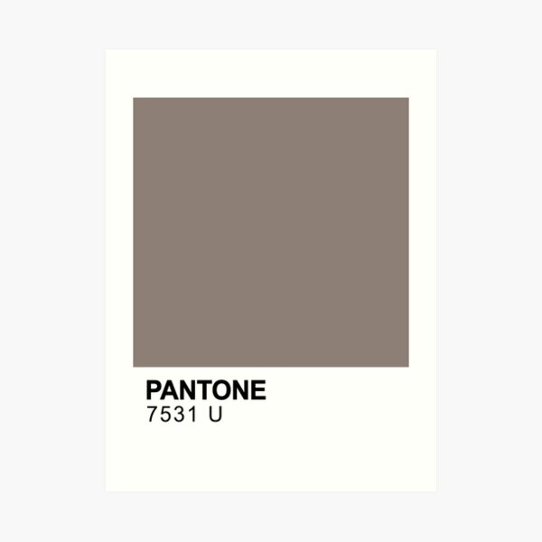 "Brown Pantone" Art Print for Sale by mlroos | Redbubble