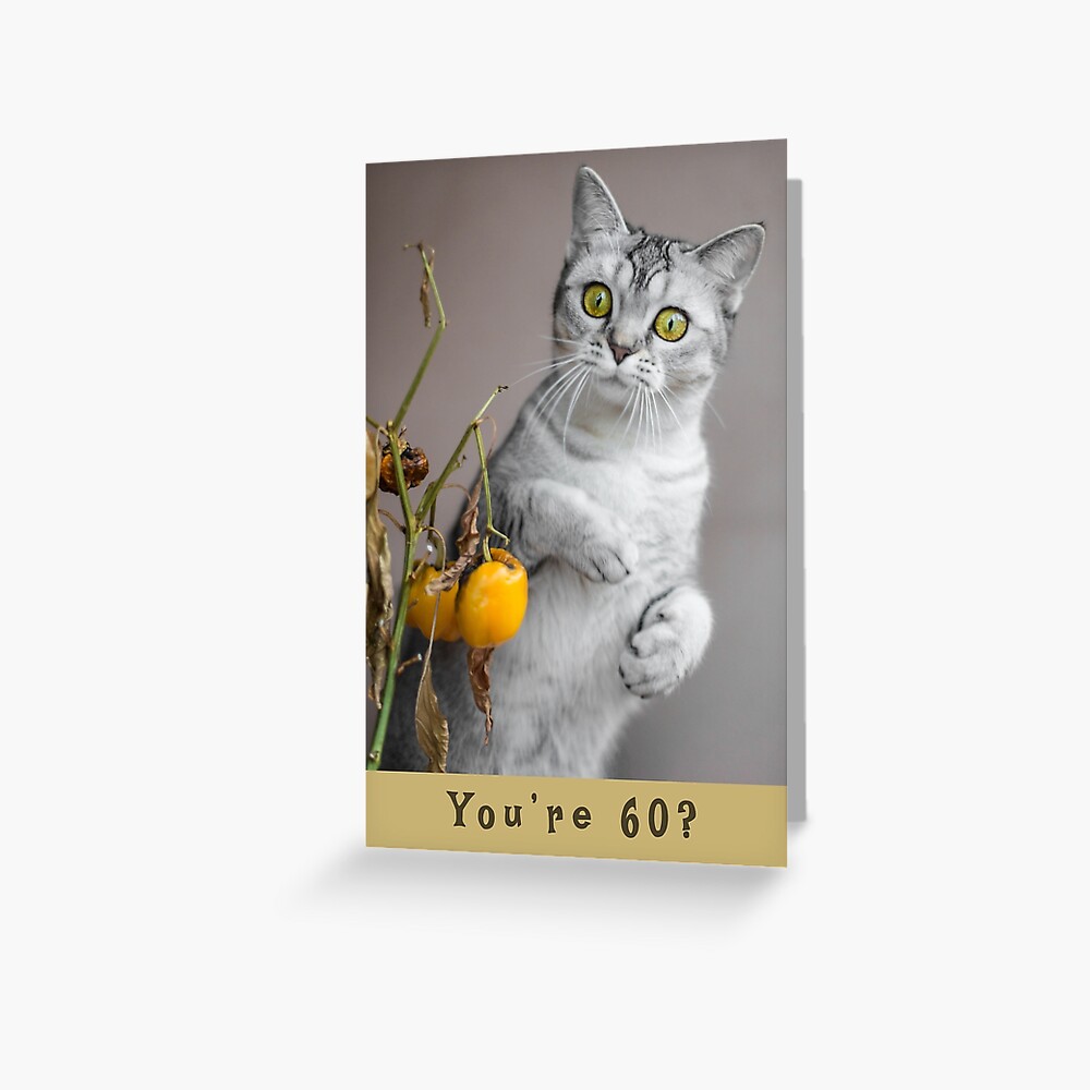 "Funny Cat Happy 60th Birthday - You're 60?" Greeting Card for Sale by ...