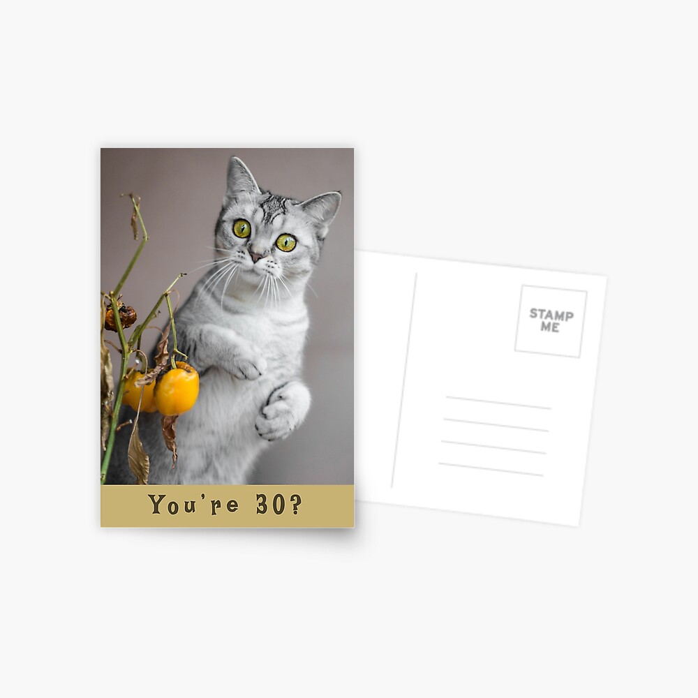 "Funny Cat Happy 30th Birthday - You're 30?" Greeting Card for Sale by ...