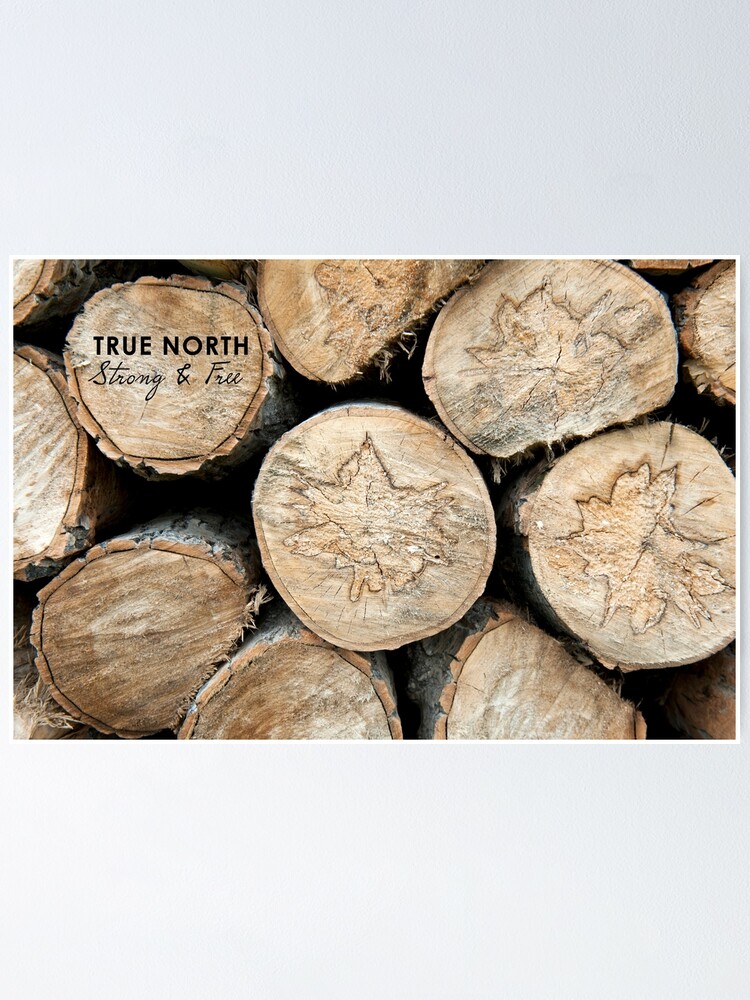 "True North Strong & Free" Poster by ShawnPiller | Redbubble