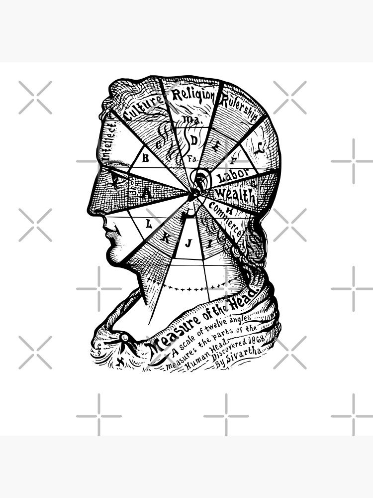 "Vintage Head Chart" Poster for Sale by Kattcatty | Redbubble