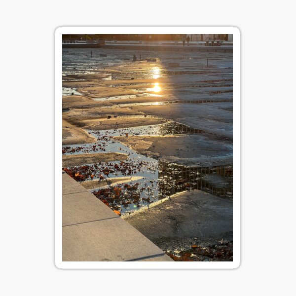 "Sun and Leaves " Sticker for Sale by cathpinc | Redbubble