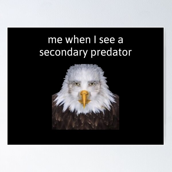 "Me when i see a secondary predator | eagle human face" Poster for Sale ...
