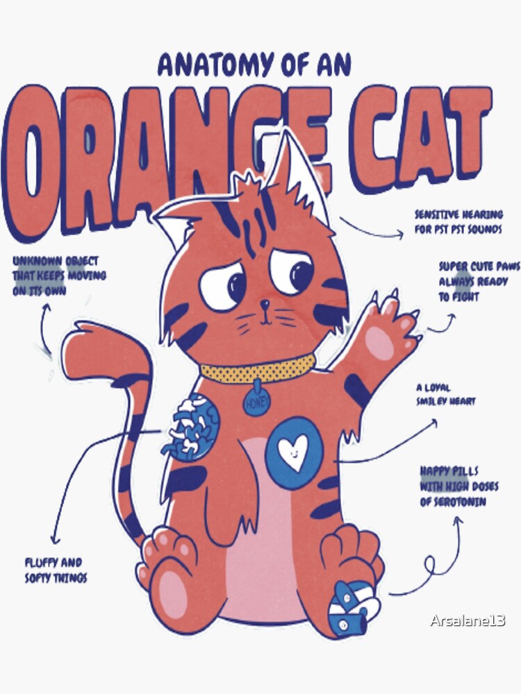"Anatomy of an orange cat" Sticker for Sale by Arsalane13 | Redbubble