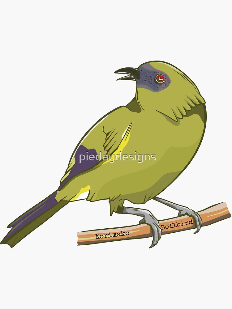 "Bellbird Korimako nz bird" Sticker for Sale by piedaydesigns | Redbubble