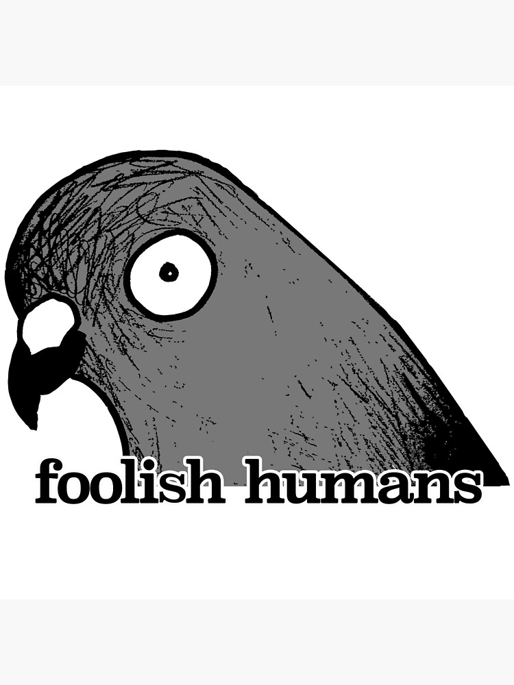 "pigeon - foolish humans" Poster by BEGROTESQUE | Redbubble