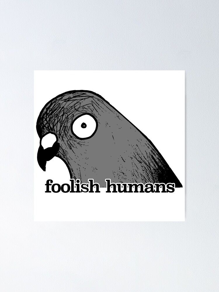 "pigeon - foolish humans" Poster by BEGROTESQUE | Redbubble