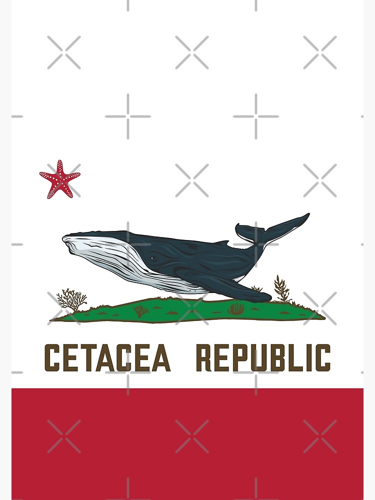 "Cetacea Republic Whale Flag Rorqual" Poster for Sale by GEEK-FACTORY ...