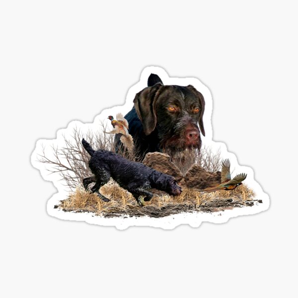 "German Wirehaired Pointer , Autumn hunting " Sticker for Sale by ...
