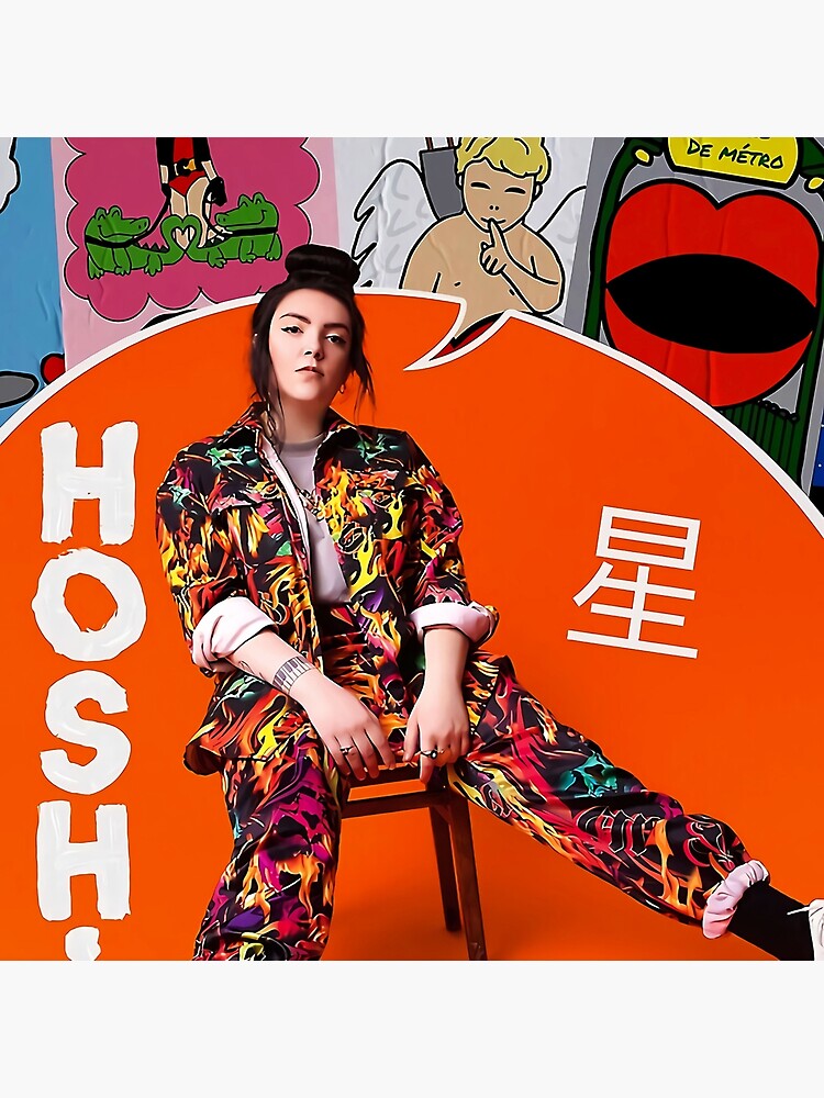 "HOSHI French Artist - Hoshi France" Poster for Sale by Sarahbelisle ...