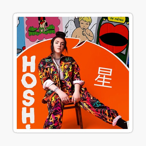"HOSHI French Artist - Hoshi France" Sticker for Sale by Sarahbelisle ...