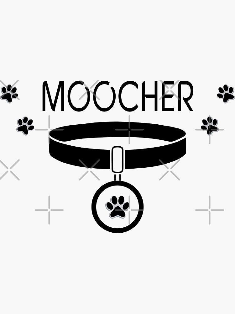 "MOOCHER Pet's Name - My cat's name is MOOCHER - MOOCHER cat's Name ...