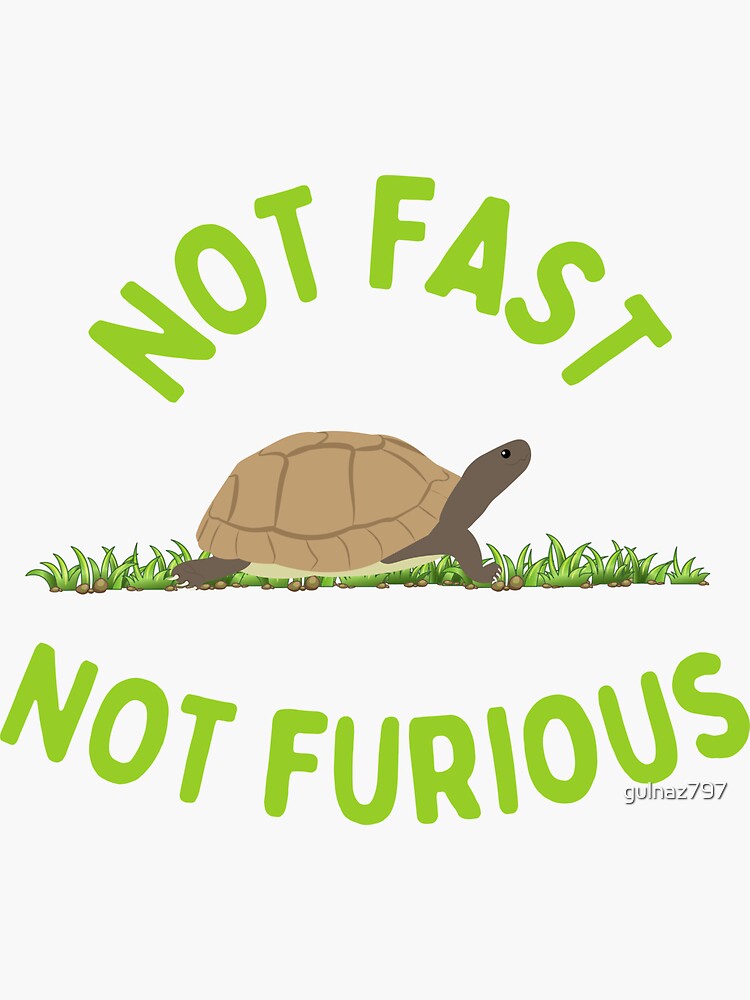 "NOT FAST NOT FURIOUS" Sticker for Sale by gulnaz797 | Redbubble