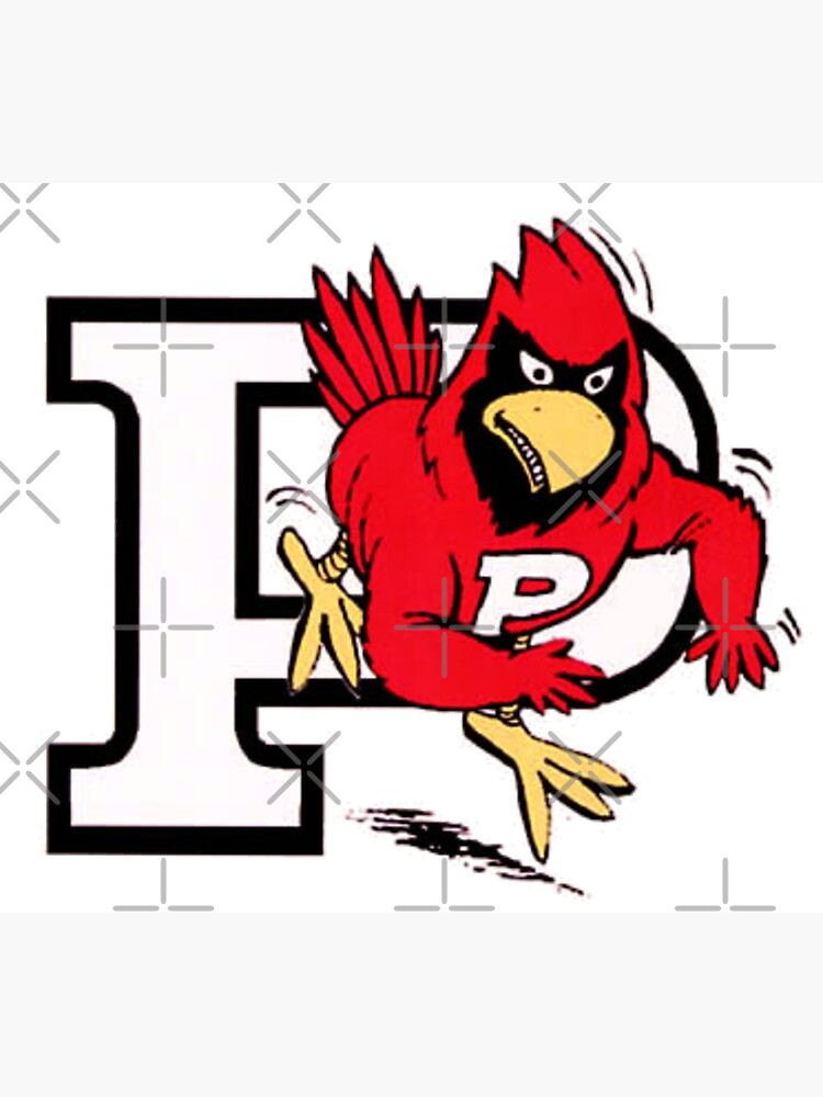 "SUNY Plattsburgh (OLD LOGO)" Art Print by ushioi | Redbubble