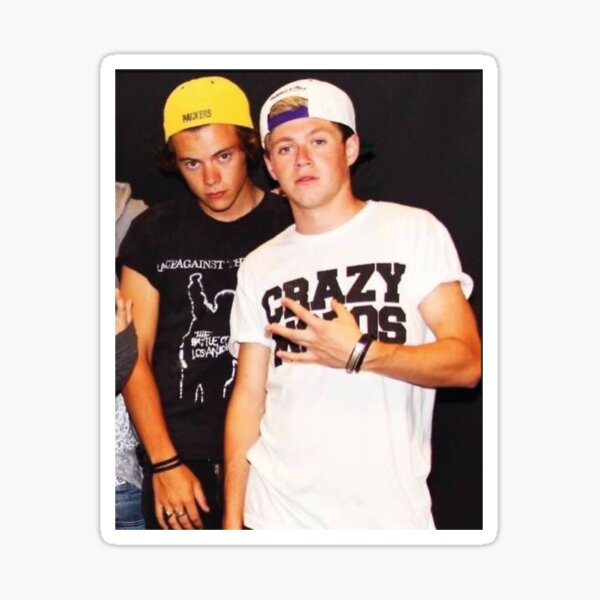 "Frat Harry and Niall" Sticker for Sale by JumpingMonkey | Redbubble