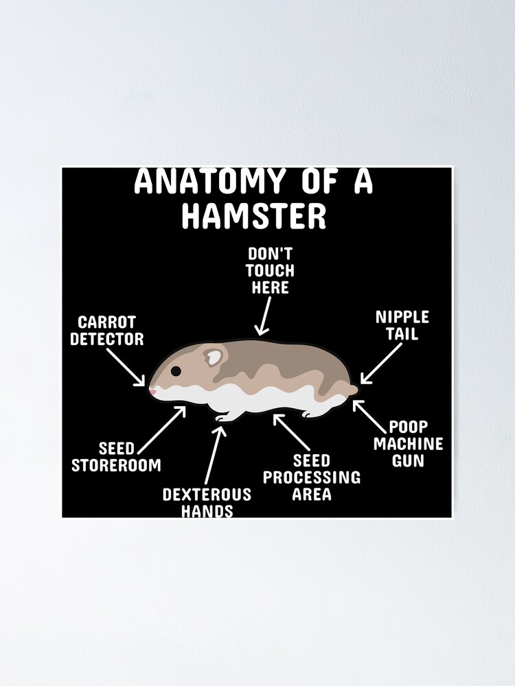 "Anatomy of a Hamster Brown White Text" Poster for Sale by ...