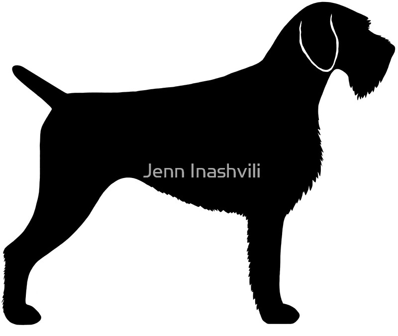 "German Wirehaired Pointer Silhouette(s)" by Jenn Inashvili | Redbubble