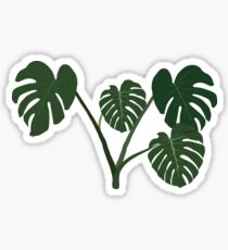 Monstera Stickers | Redbubble