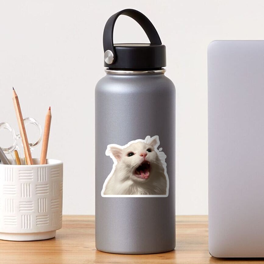 "thurston waffles, thurston waffles cat, Cats, thurston waffles scream ...