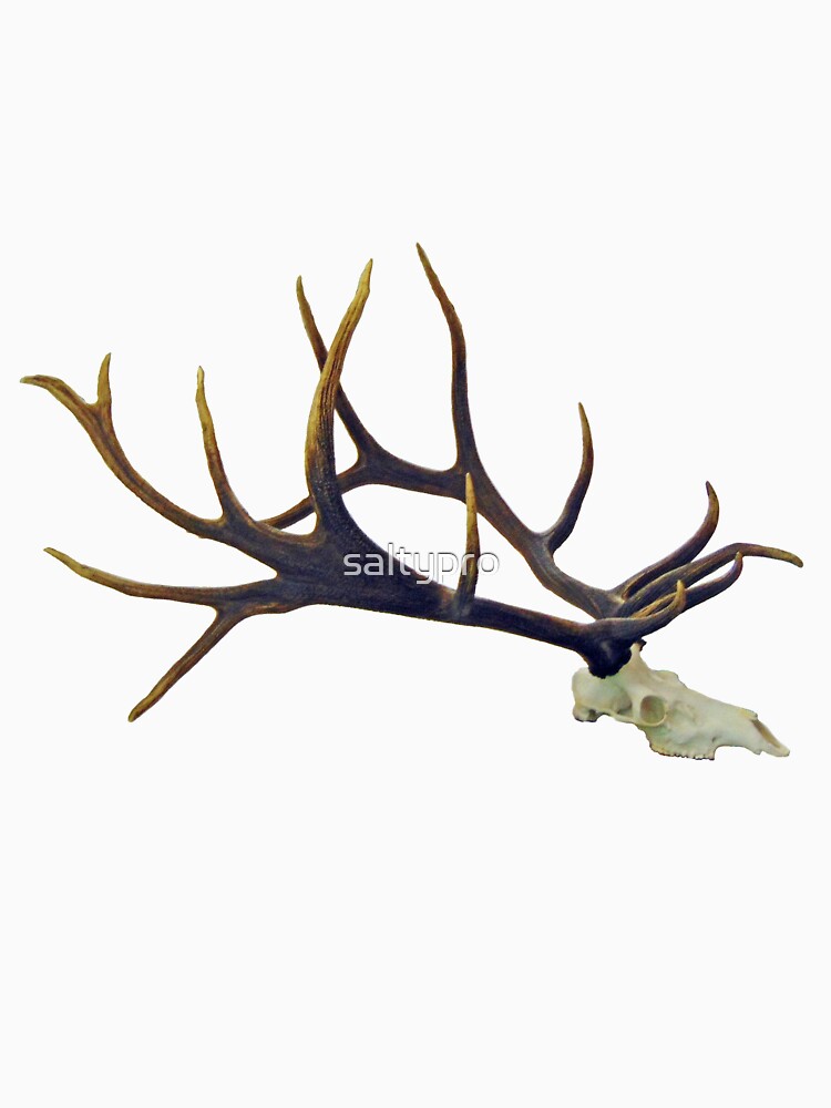 "Bull elk skull European mount" Pullover Hoodie for Sale by saltypro ...