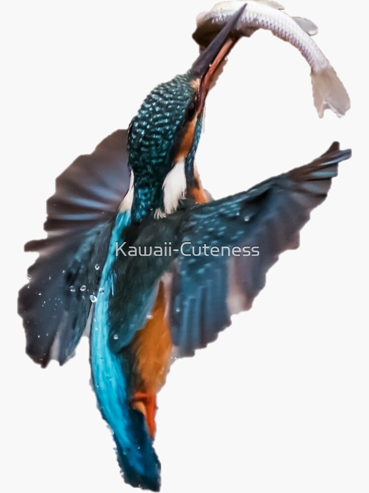 "Fishing Kingfisher" Sticker for Sale by Kawaii-Cuteness | Redbubble